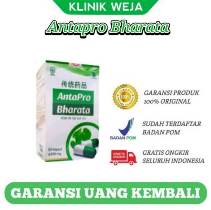 anta pro bharata obat darah tinggi dan stroke herbal asli | Lazada ...
