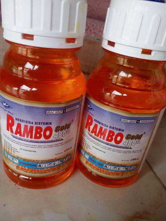 Herbisida pembasmi rumput RAMBO gold 480SL isi 250 Pembasmi Rumput Mati ...