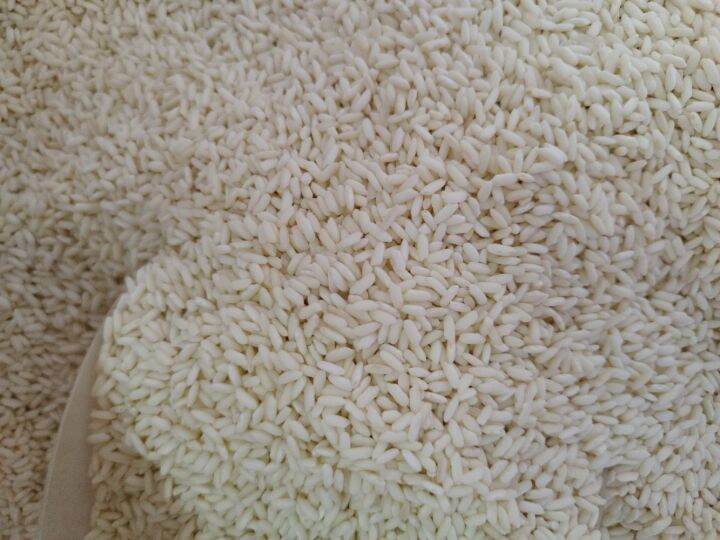 Beras Pulut Timbang Vietnam | Lazada