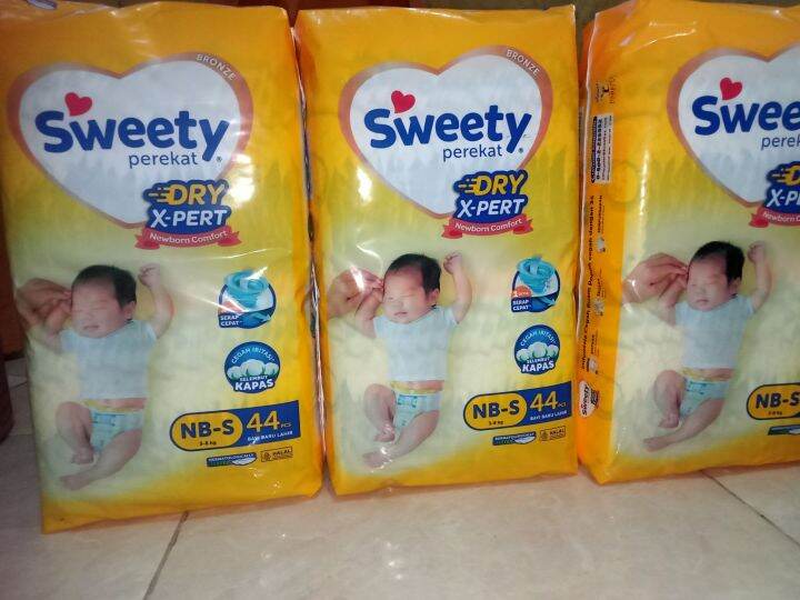 SWEETY BRONZE PEREKAT NBS 44S BAYI BARU LAHIR | Lazada Indonesia
