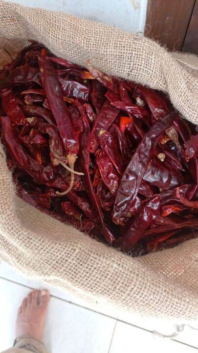 1kg CABE MERAH BESAR TANPA TANGKAI | Lazada Indonesia