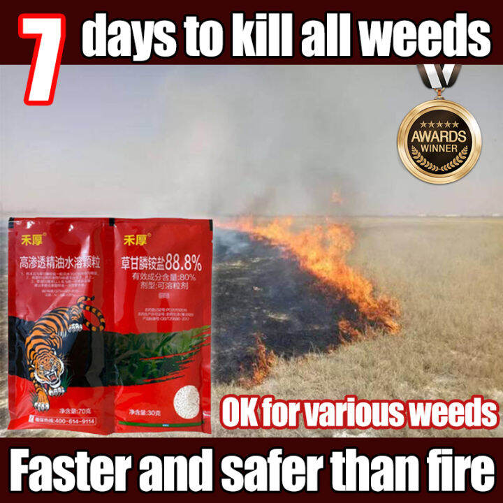 【2 Packs】10 times more effective at killing weeds racun rumput mati ...