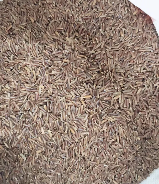 Gao Lut Huyet Rong Vietnam Brown Rice 1Kg | Lazada