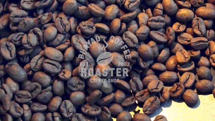 Coffee bean samples 40g. (ตัวอย่างเมล็ดกาแฟปางขอนถุงดำ ,Testing ...