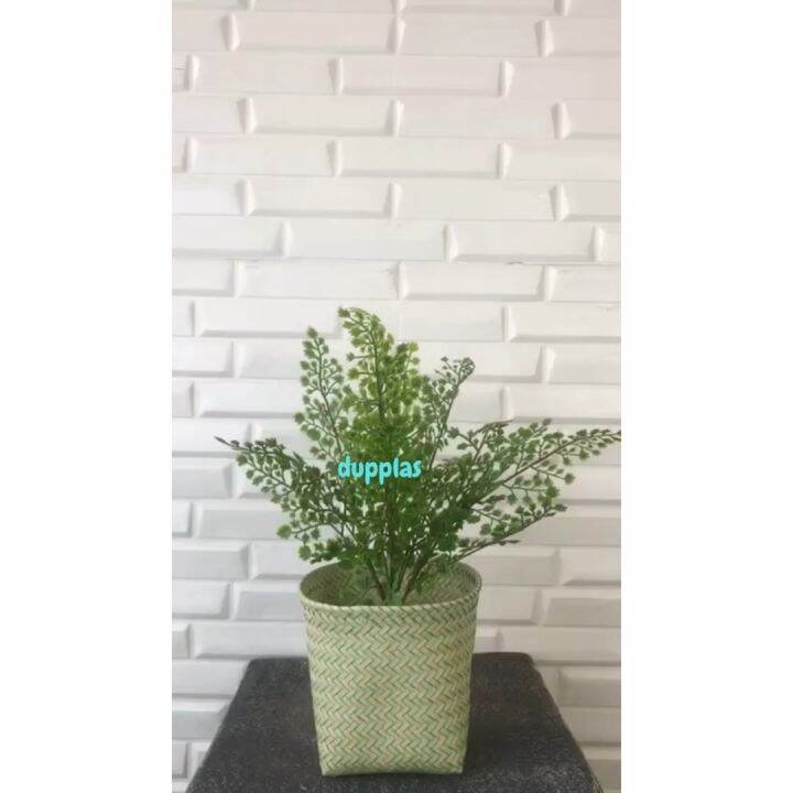 Tanaman Plastik Daun Tapak Ikan Pari X1 Latex Artificial Cover Pot ...