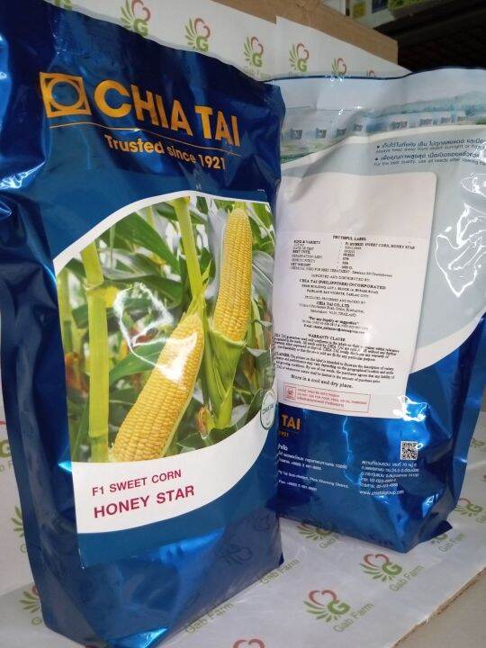 CHIA TAI Seed F1 Sweet Corn, HONEY STAR (1Kg) seeds | Lazada PH
