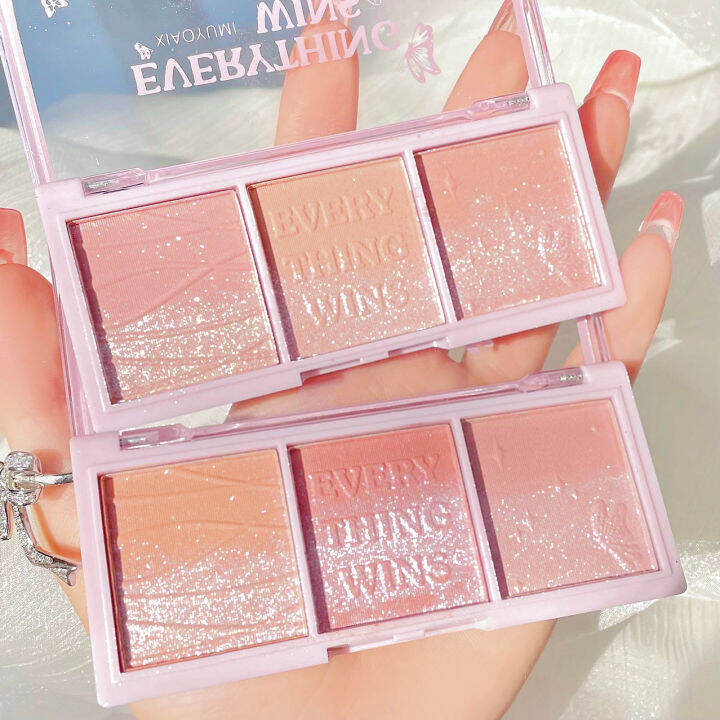 Shimmer Matte Blush 3 Colors Brighten Silkworm Eyeshadow Palette ...