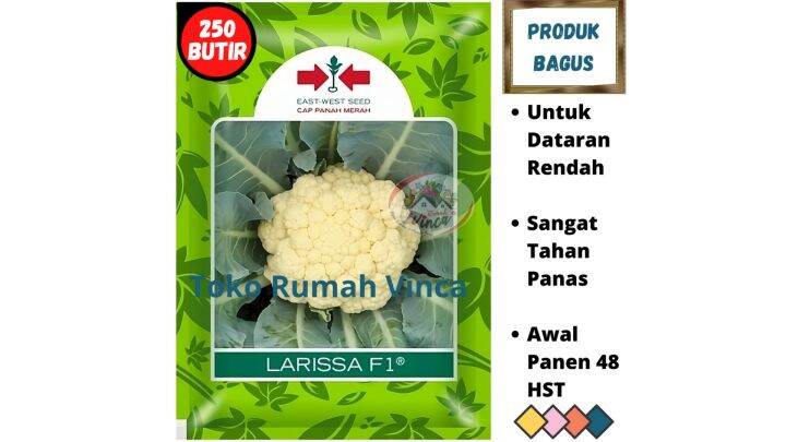 Benih Biji Bibit Bunga Kol LARISSA F1 250 Butir dari Cap Panah Merah ... Benih Biji Bibit Bunga Kol LARISSA F1 250 Butir dari Cap Panah Merah ...