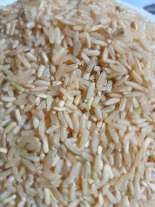 ORGANIC BROWN RICE LOCAL RICE1KG | Lazada PH