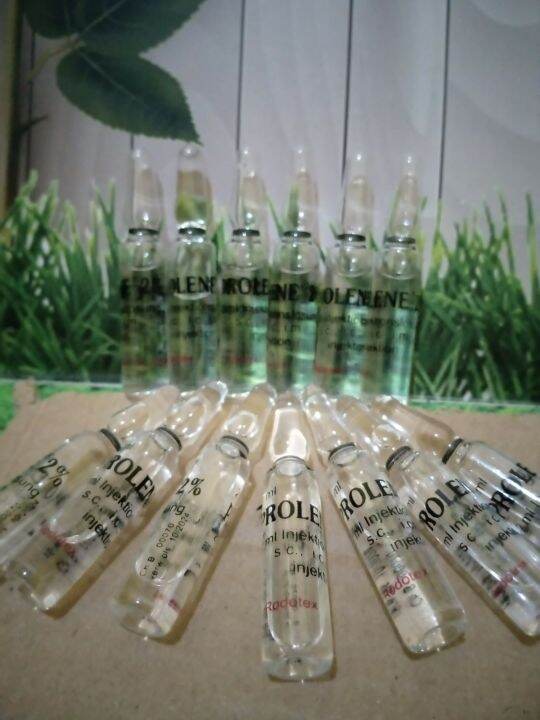 PROLENE ECER PROLEN 10 AMPUL | Lazada Indonesia