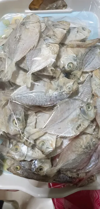 Sap-Sap From Philippines | Lazada.co.th