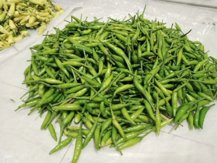 Cabe tewe hijau atau rawit hijau cengek (Jawa barat dn Jakarta) atau ... Cabe tewe hijau atau rawit hijau cengek (Jawa barat dn Jakarta) atau ...