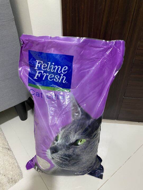 Cat Liter | Lazada PH