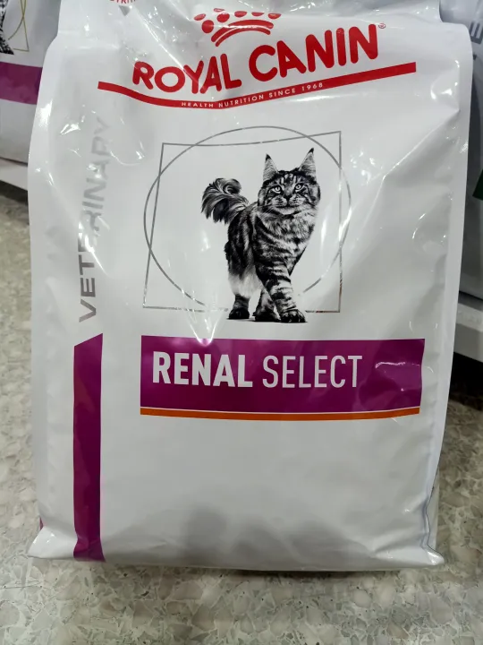 Royal Canin Renal Select 4กก.แมวไต | Lazada.co.th