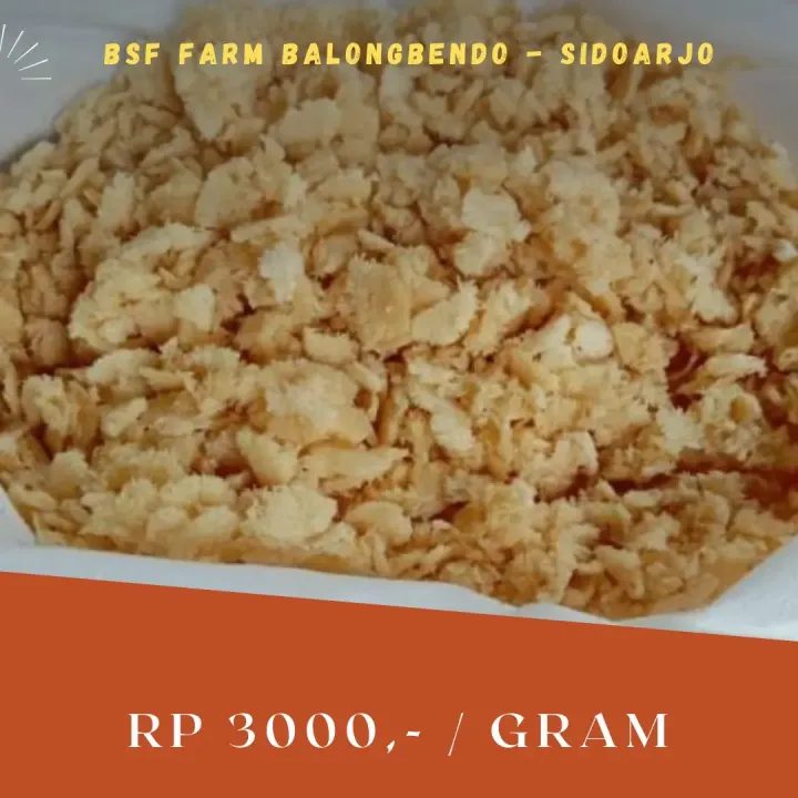 Telur Maggot BSF | Lazada Indonesia