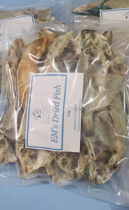 Molmol ( Isdang Loro) Dried Fish (Palawan) 500g | Lazada PH