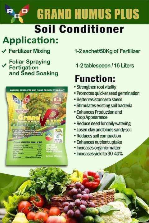 Grand Humus | Lazada PH