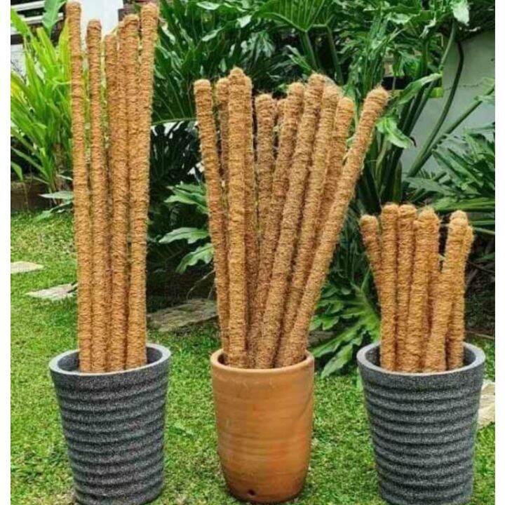 Coco Pole PVC Base | Lazada PH