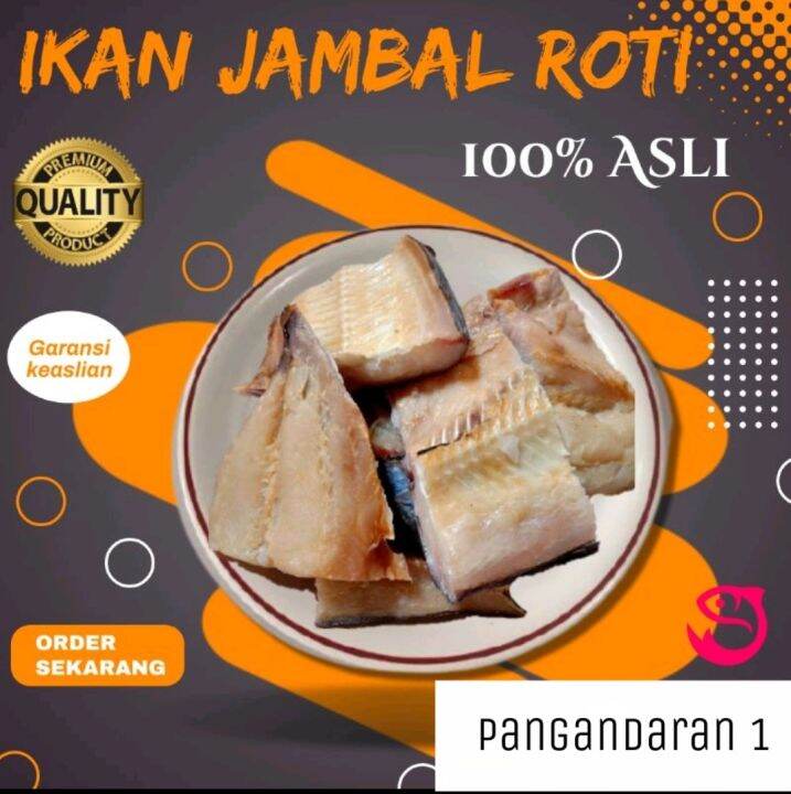 Ikan jambal roti super mentega khas pangandaran | Lazada Indonesia