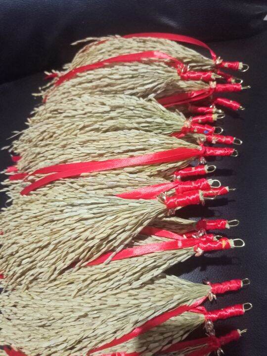 Lucky charm palay | Lazada PH