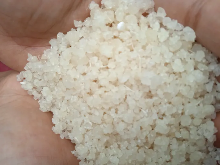 Leye/ tiwul khas wonosobo | Lazada Indonesia