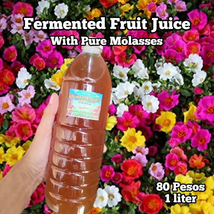 Fermented Fruit Juice (FFJ) Foliar Fertilizer - 1 liter | Lazada PH