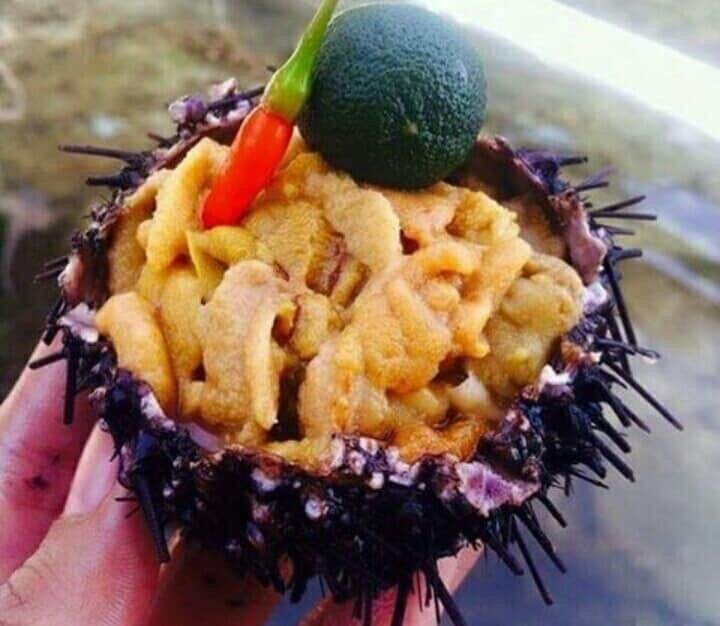 LJ KITCHEN TUYOM “SEA URCHIN” 120g | Lazada PH