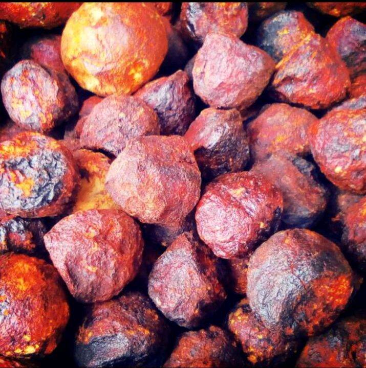 Sari Gambir Asli Pakpak Bharat | Lazada Indonesia