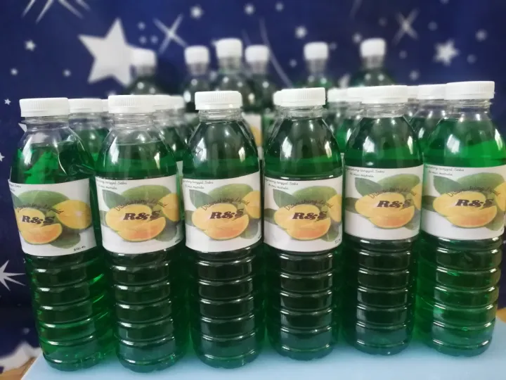 R&S Diswashing Liquid Calamansi Scent | Lazada PH