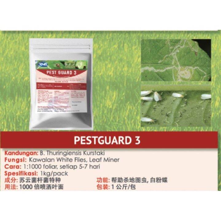 1 kg Pest Guard 3 Racun Serangga Bio Organik Lalat Putih Dan Pelombong ...