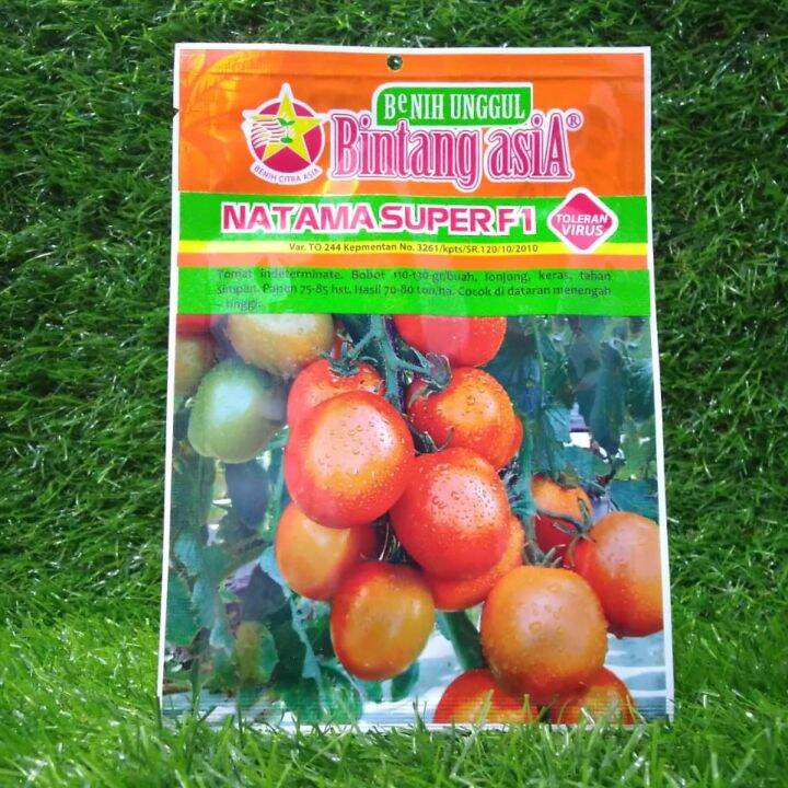 Benih bibit Tomat Natama super f1 10 gram bintang asia bibit unggul ...