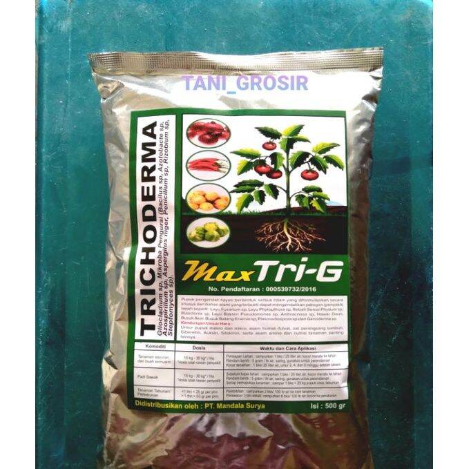 PUPUK tricoderma MaxTri-G 500 gram untuk mengatasi busuk akar dan buah ... PUPUK tricoderma MaxTri-G 500 gram untuk mengatasi busuk akar dan buah ...