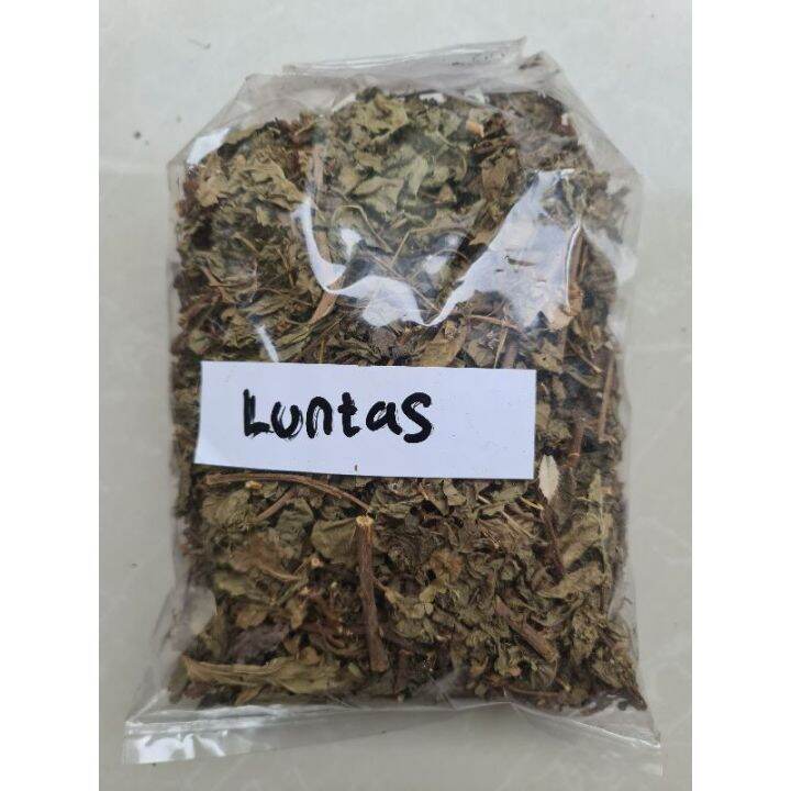 Daun Beluntas Kering 100gr - Daun Luntas Kering | Lazada Indonesia