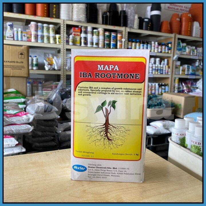 1kg Mapa IBA RootMone Hormon Penggalak Akar Terbaik | Lazada