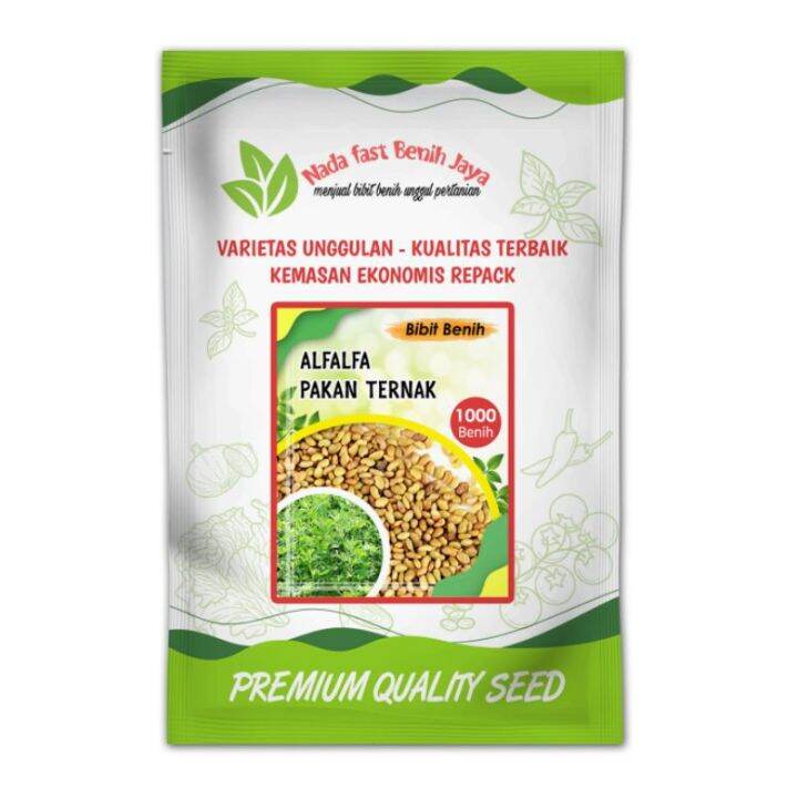 PROMO 1000 biji Benih pakan ternak Alfalfa High Quality / Bibit pakan ...
