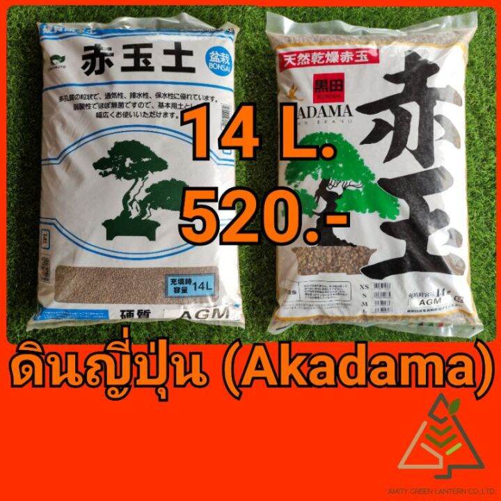 ⭐ 14 L. ดินญี่ปุ่น อะคาดามะ (Akadama) ⭐ | Lazada.co.th