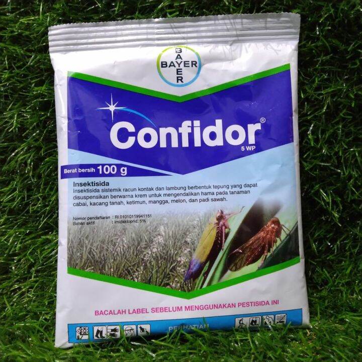Confidor 5WP kemasan 100gr Bahan Aktif Imidakloprid 5 persen ...