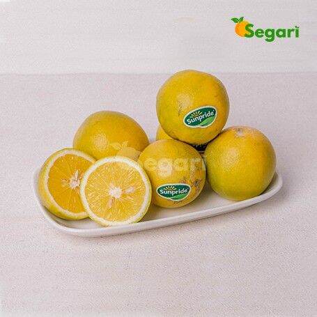 Jeruk Baby Java Buah Segari | Lazada Indonesia