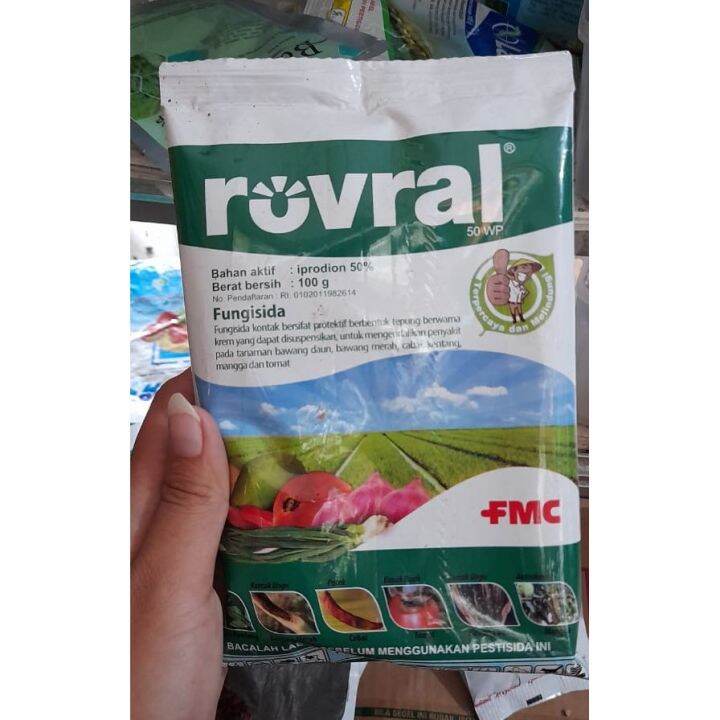 Fungisida Rovral 50WP 100 gram | Lazada Indonesia