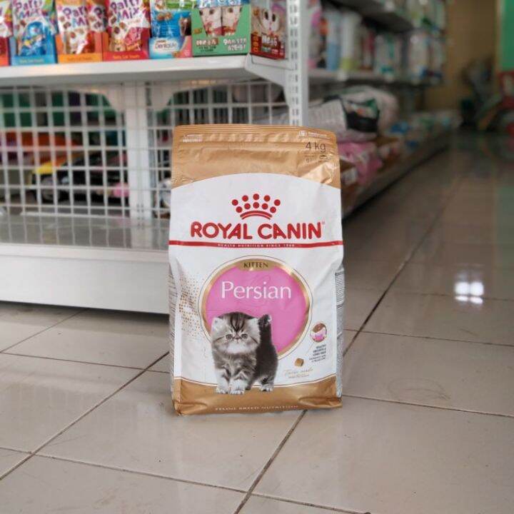 Rc Kitten Persian 4kg - Royal canin persian kitten 32 | Lazada Indonesia