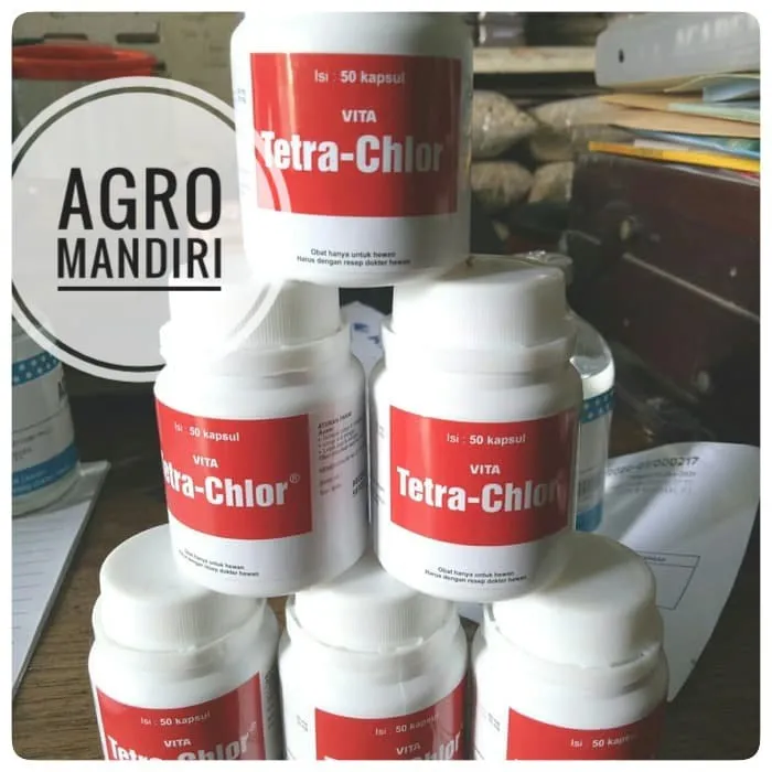 Tetrachlor 50 Kapsul Obat Vitamin Ayam Kotoran Kapur, Pilek, CRD ...