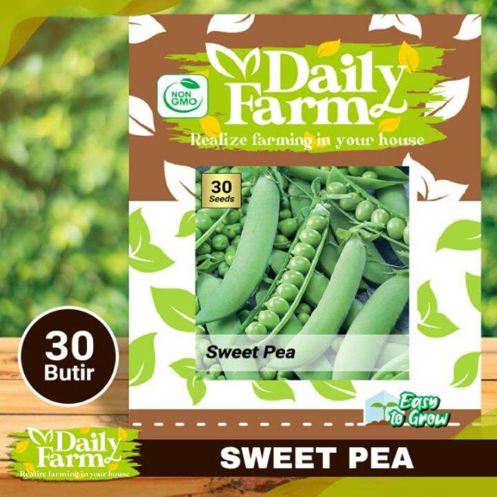Benih Sayur Kacang Kapri Manis - Sweet Pea - Daily Farm | Lazada Indonesia