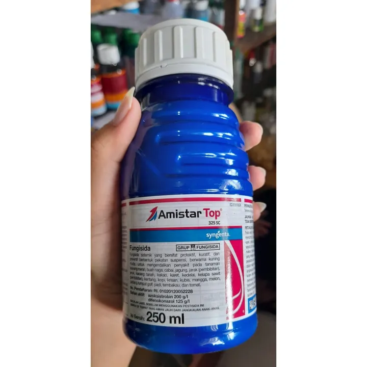 Amistar top 325 SC 250 ml fungisida | Lazada Indonesia
