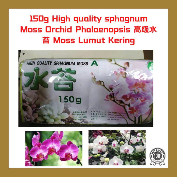 150g Sphagnum Moss Orchid Phalaenopsis 水苔 Lumut Kering Peat Plant Lumut ...