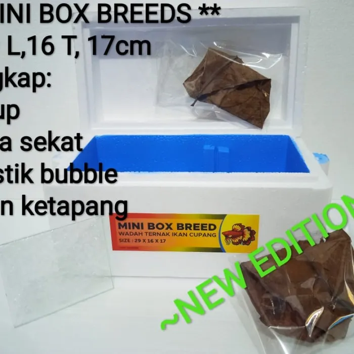 MINI BOX BREEDING IKAN CUPANG/STYROFOAM BREEDING/WADAH PENJODOHAN ...