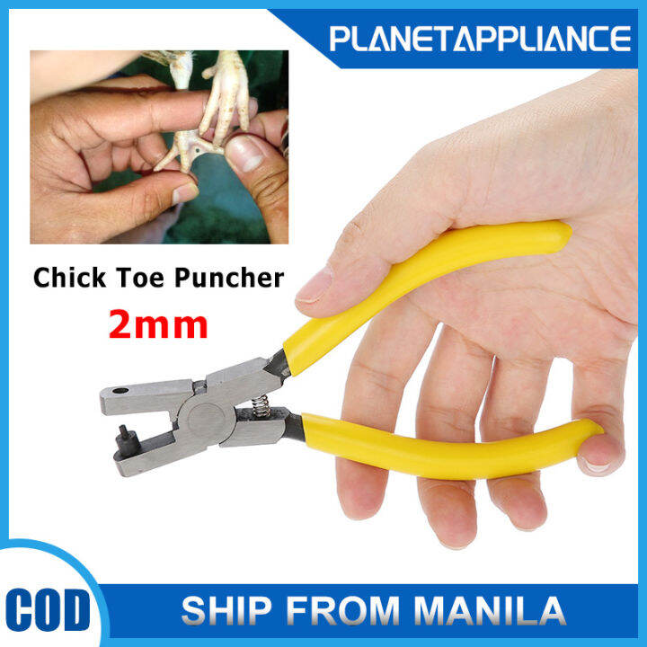FC COD 2mm Chick toe puncher Stainless steel Chicken feet puncher ...