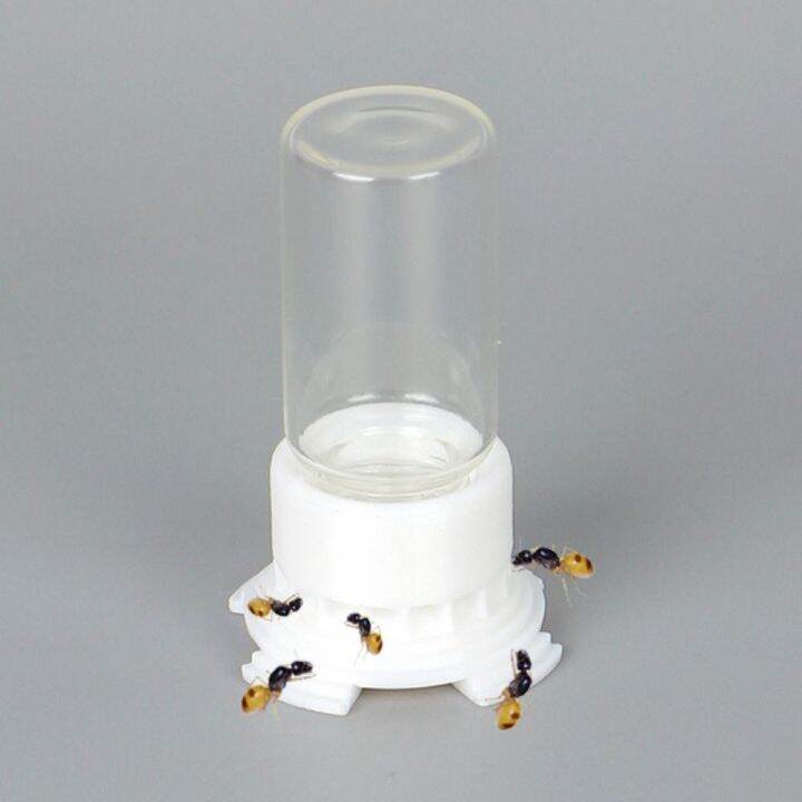 UEATHC 2023 Practical Durable Household Leak proof Ant Feeding Tower ...