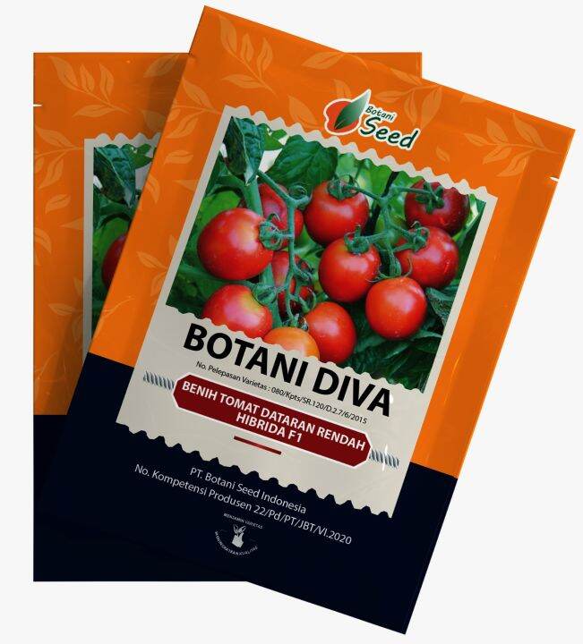 Benih Bibit Tomat hibrida F1 DIVA 5gr. | Botani Seed untuk dataran ...