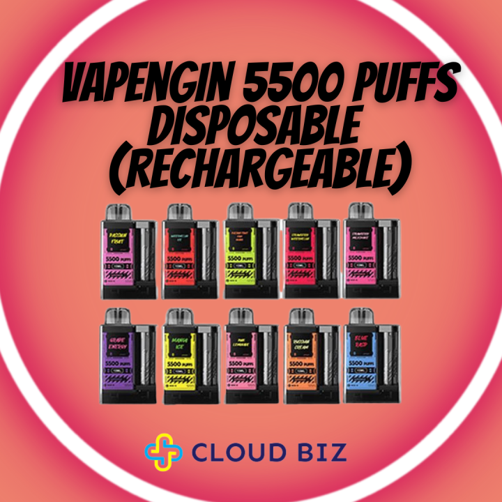 VAPENGIN 5500 PUFFS DISPOSABLE 5%(NIC) 500mAh RECHARGEABLE TYPE-C ...