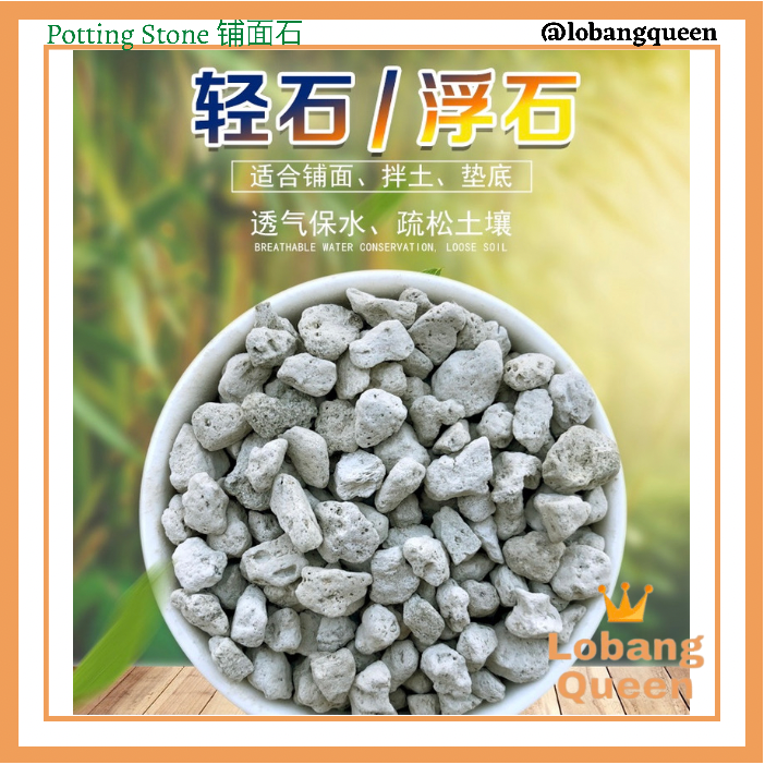 1L PUMICE STONE BONSAI SUCCULENT CACTUS SOIL BATU TANAH GARDENING 浮石轻石 ...